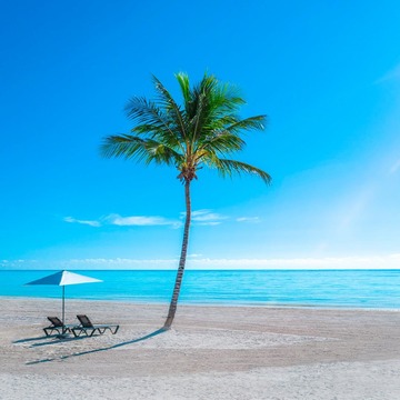 5 Great Alternatives to a Cruise Vacation - Cruise Planners - Diane ...